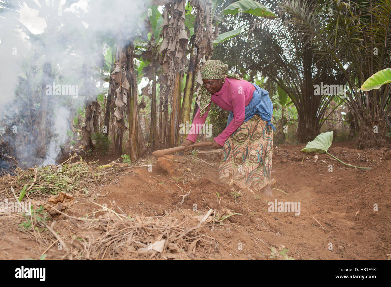 Black African woman farming the land in rural Cameroon West Africa ...