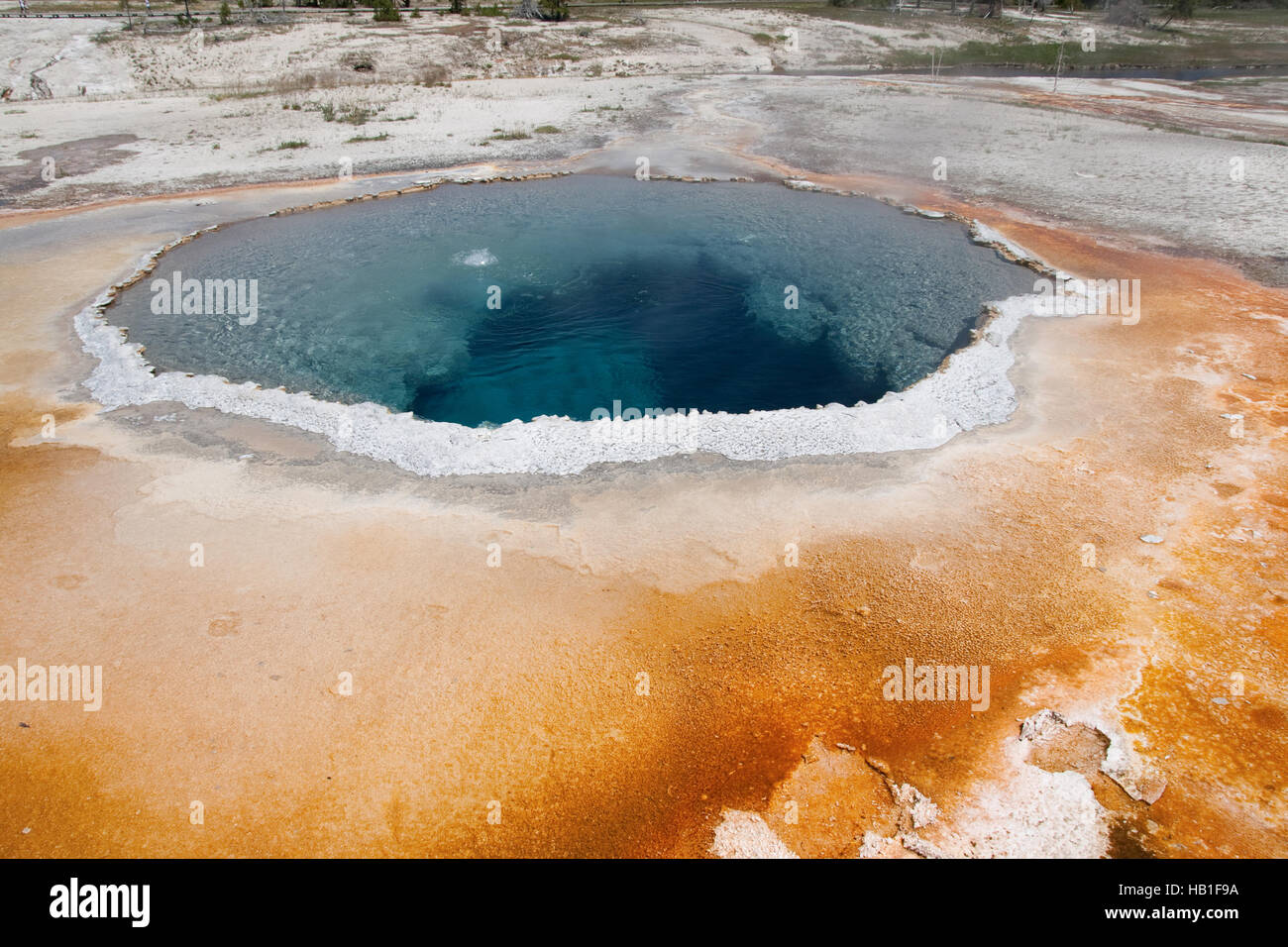 Crested Pool in Yellowstone National Park Stock Photo - Alamy