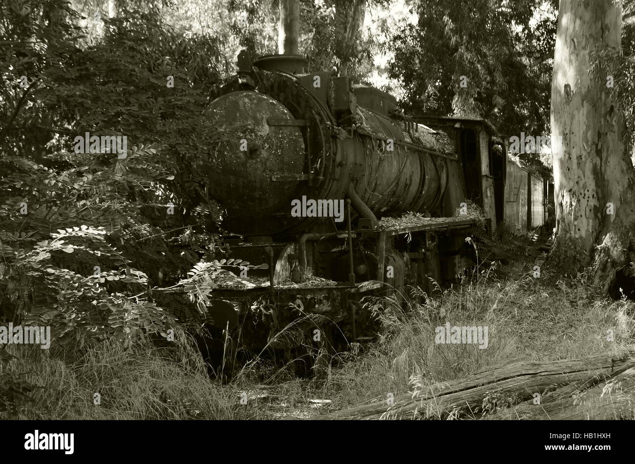 Urban exploration at abandoned train station Stock Photo - Alamy