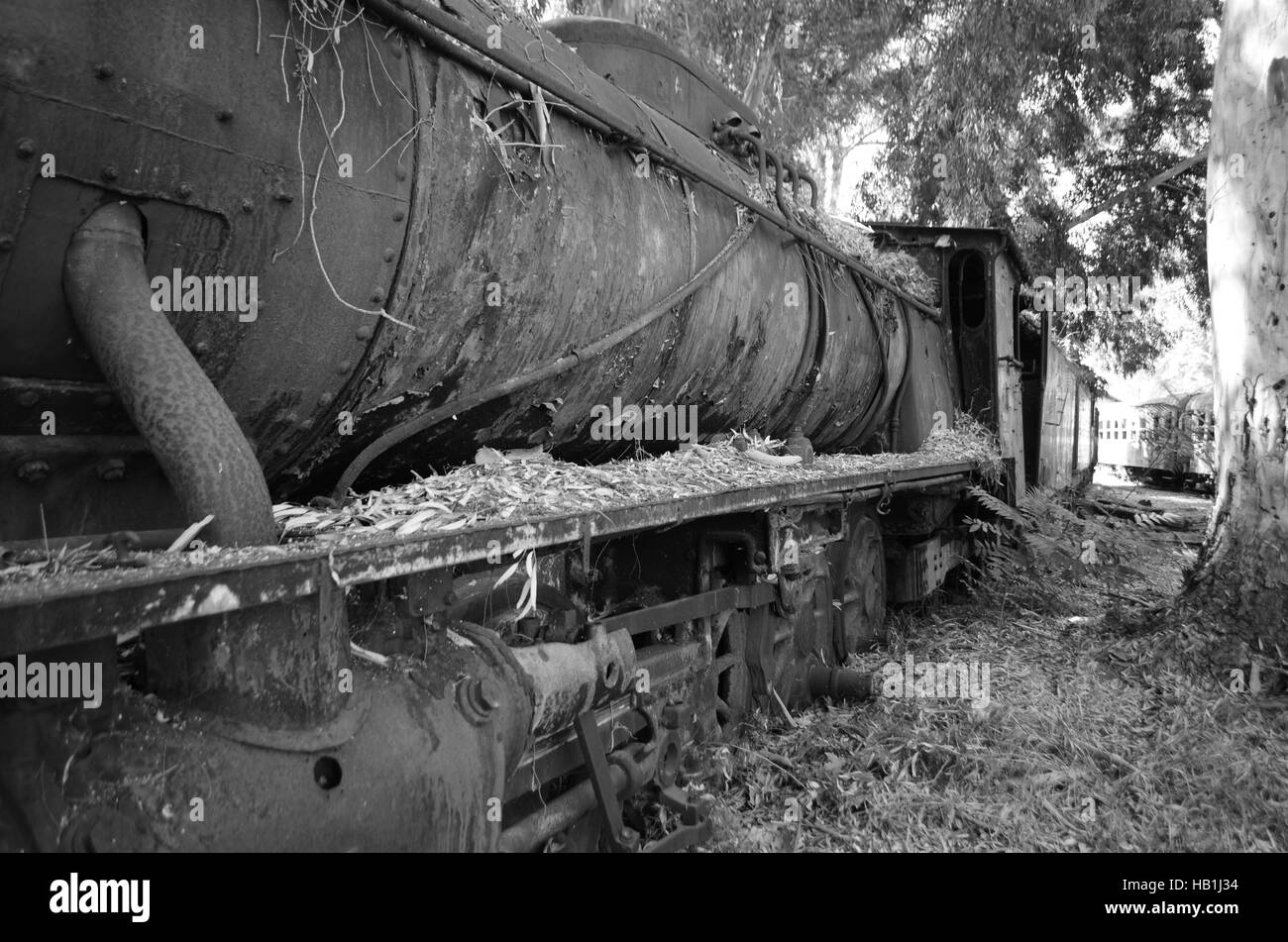 Urban exploration at abandoned train station Stock Photo - Alamy