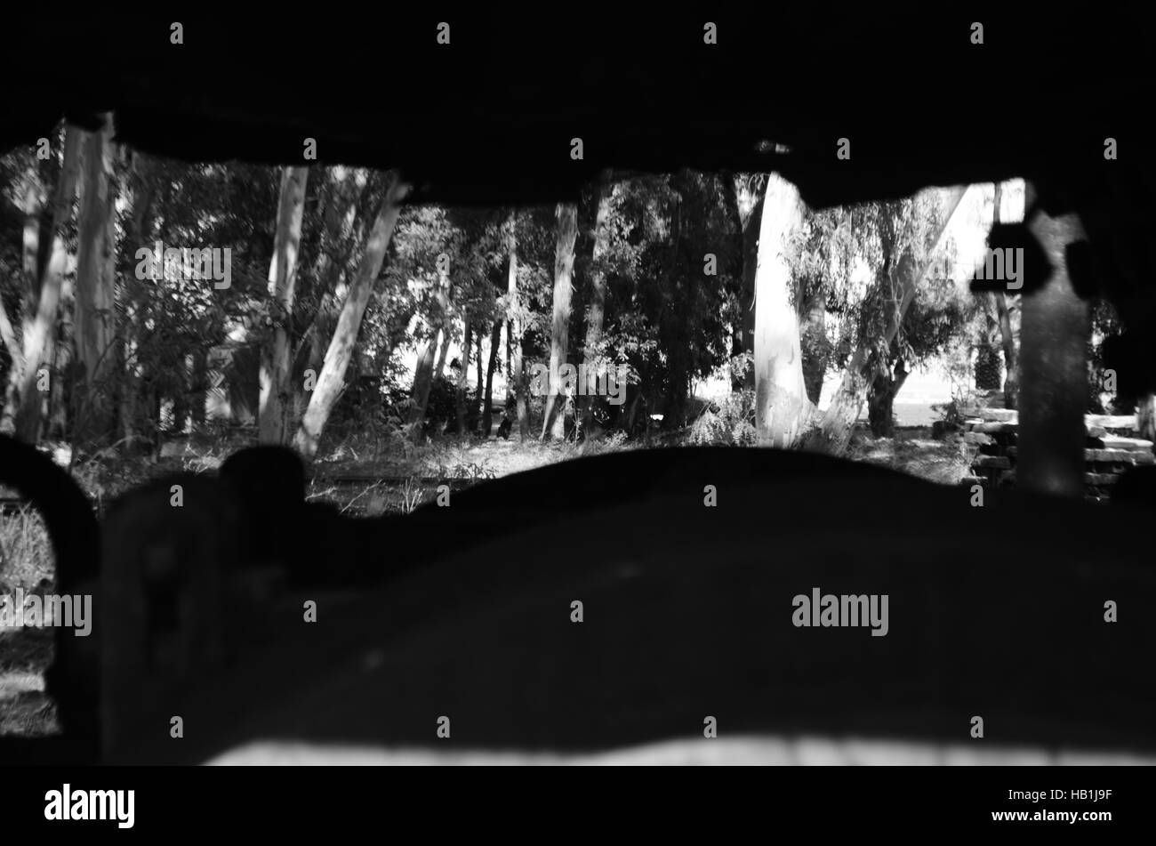 Urban exploration at abandoned train station Stock Photo - Alamy