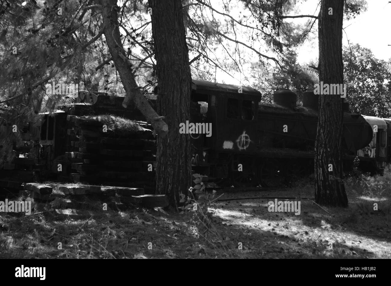 Urban exploration at abandoned train station Stock Photo - Alamy