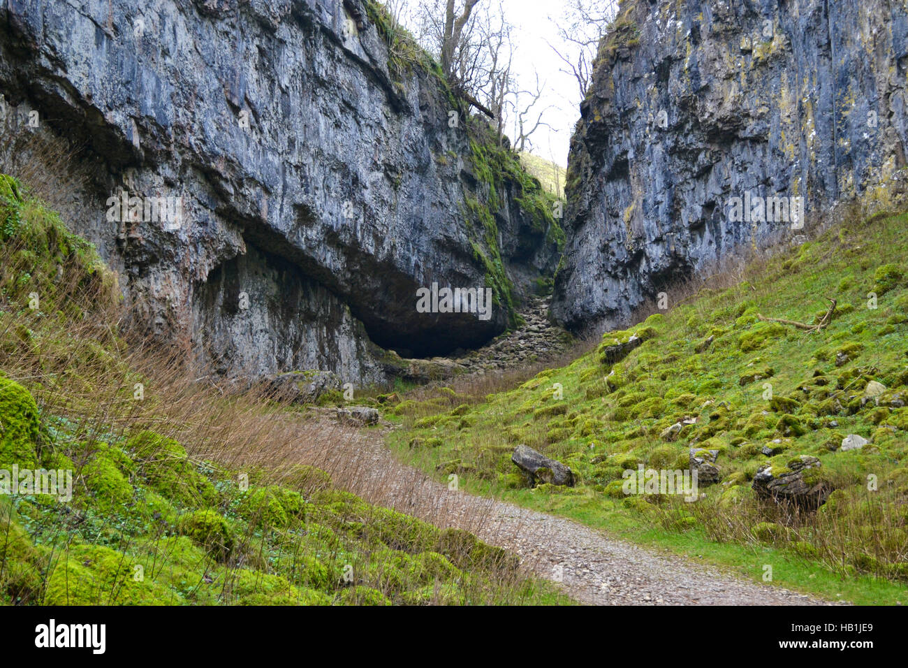 Trow Gill in the Yorkshire Dales Stock Photo - Alamy