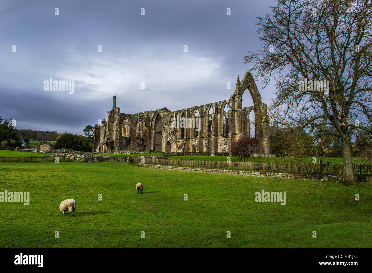 Bolton Abbey in the Yorkshire Dales Stock Photo - Alamy