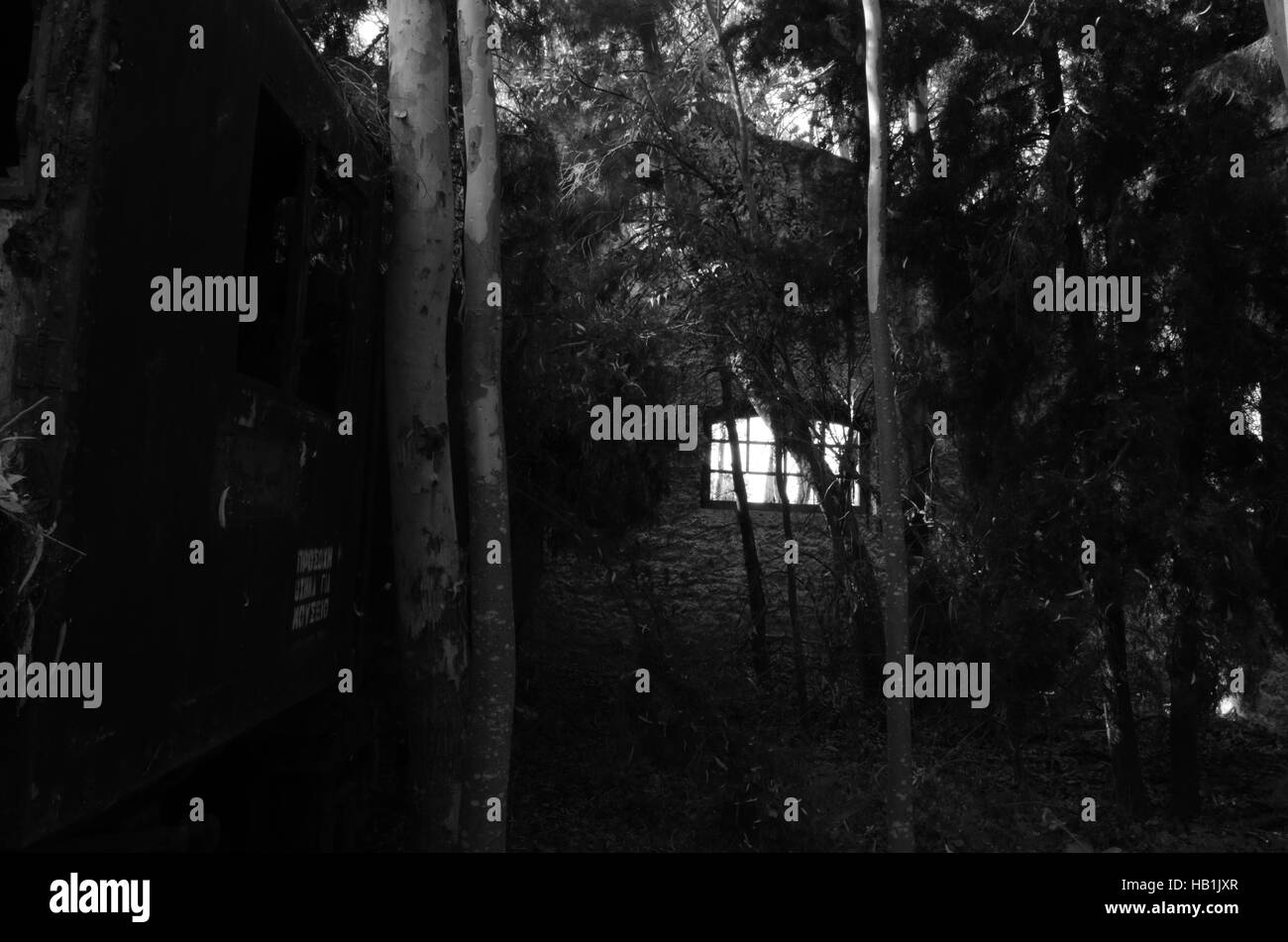 Urban exploration at abandoned train station Stock Photo - Alamy
