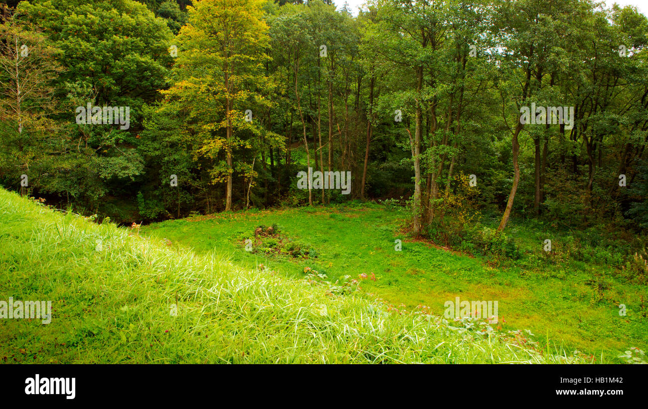 Green meadow trees hi-res stock photography and images - Alamy