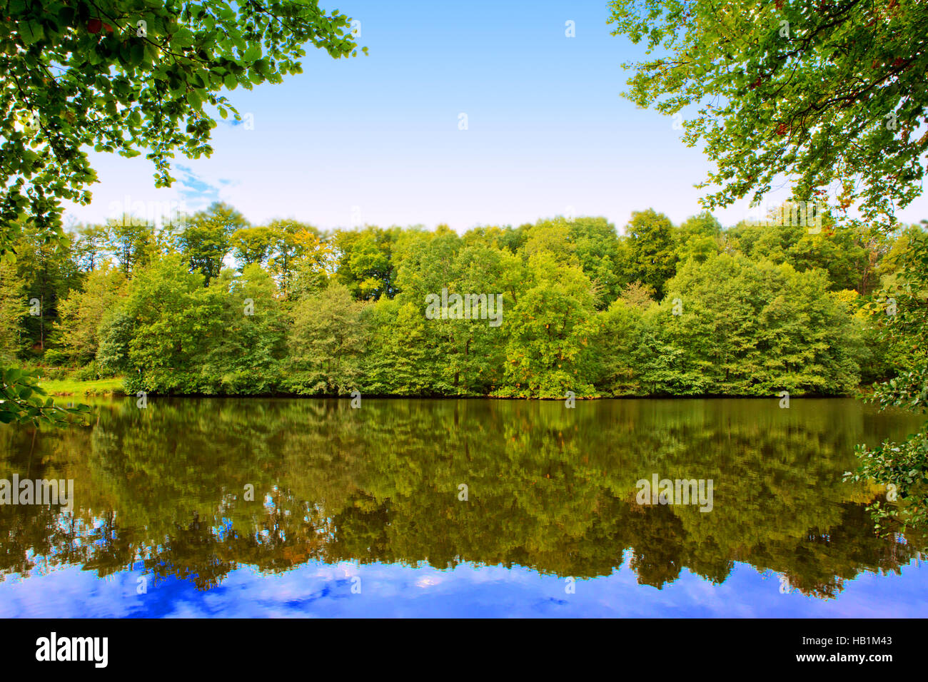 Peaceful lake in forest hi-res stock photography and images - Alamy