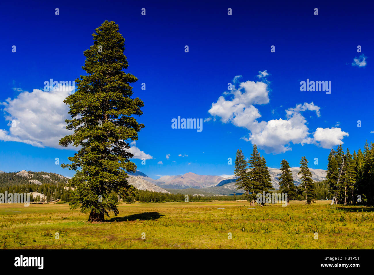 Tioga Pass is a mountain pass in the Sierra Nevada mountains. State ...