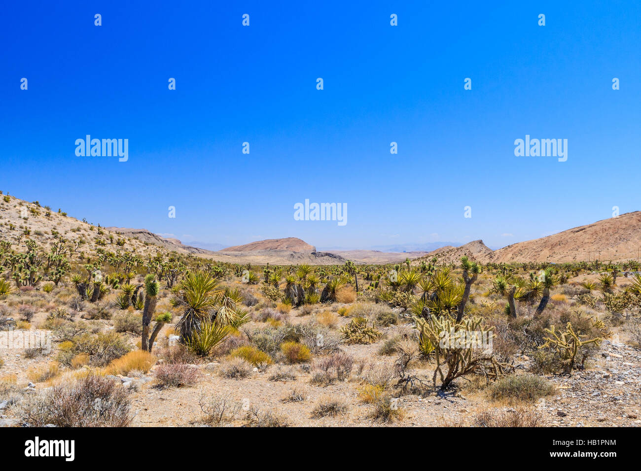 Summer sandstone popular day hi-res stock photography and images - Alamy