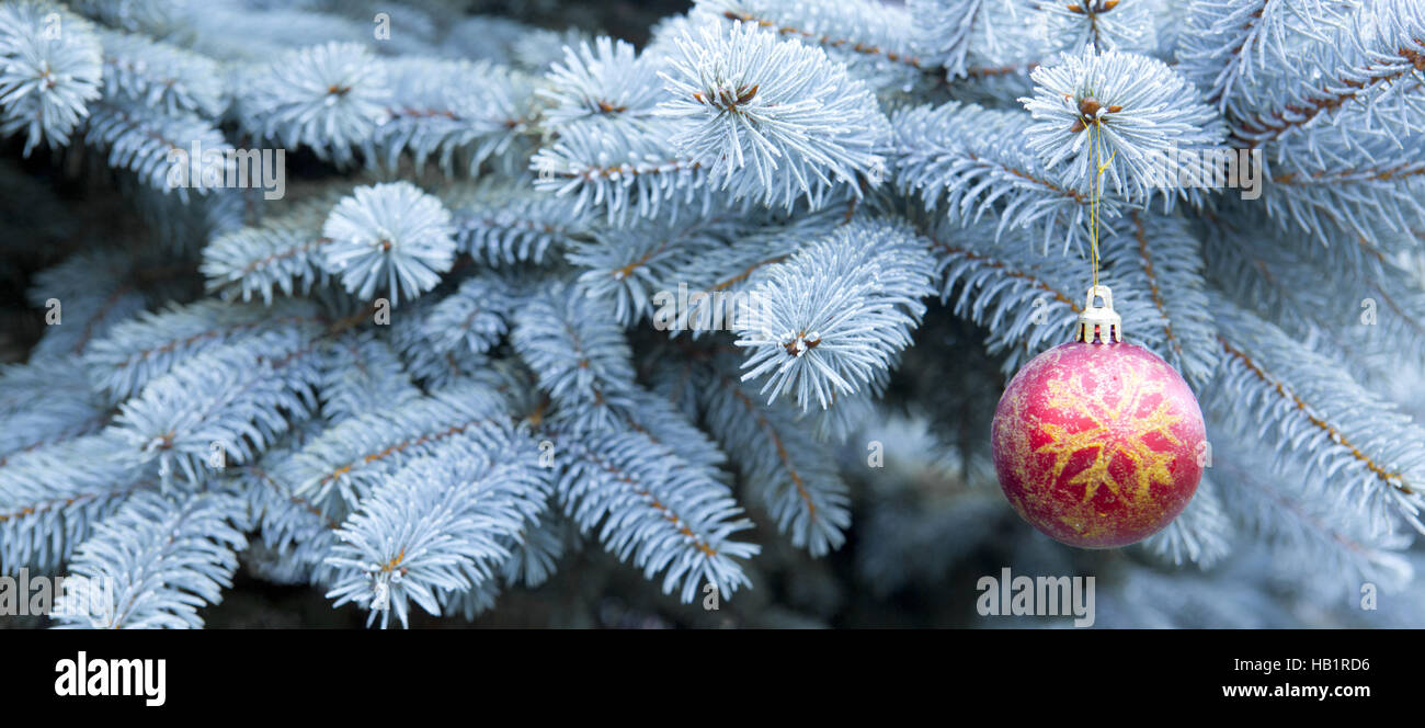 Pine needle ball hi-res stock photography and images - Alamy