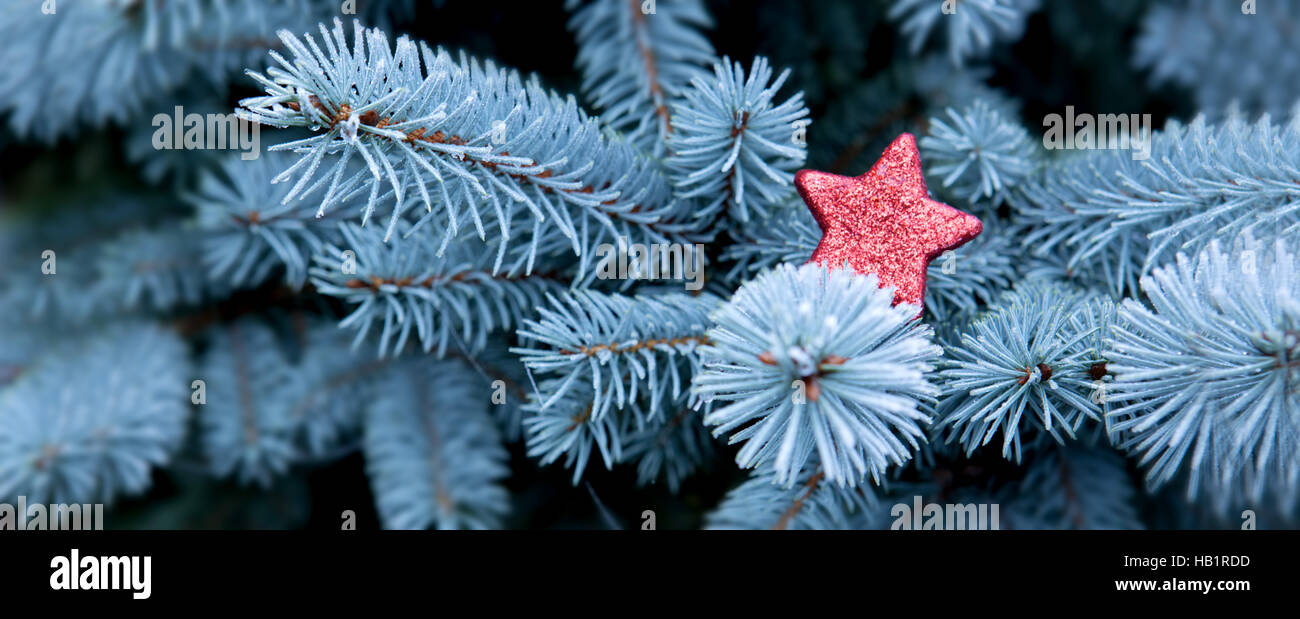 Star branches hi-res stock photography and images - Alamy