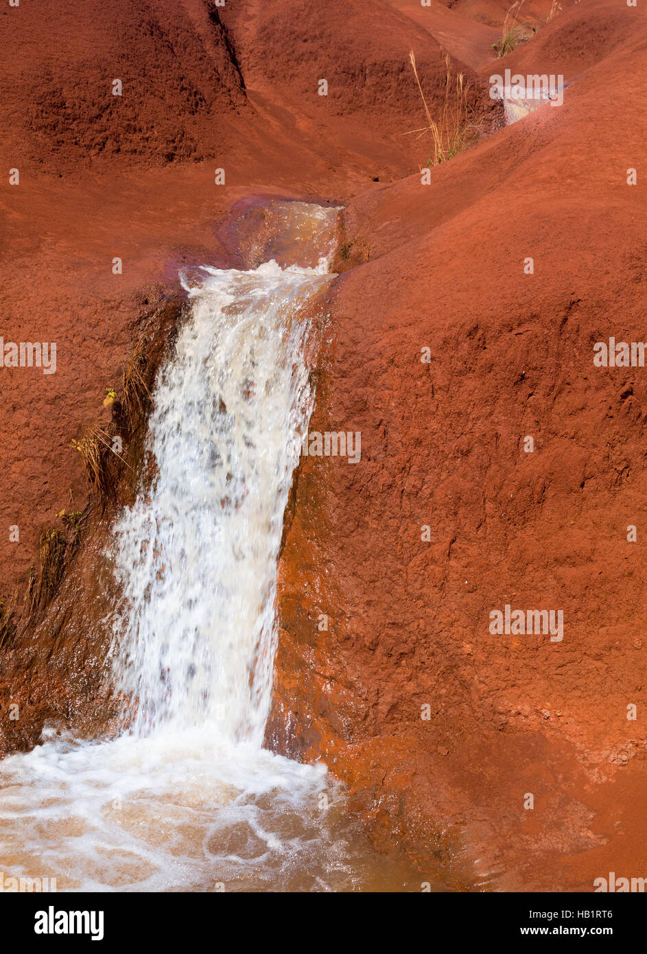 Hawaii wild nature hi-res stock photography and images - Alamy
