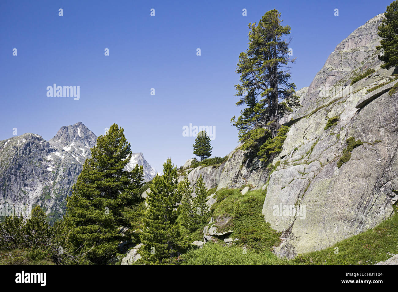 Arven High Resolution Stock Photography and Images - Alamy