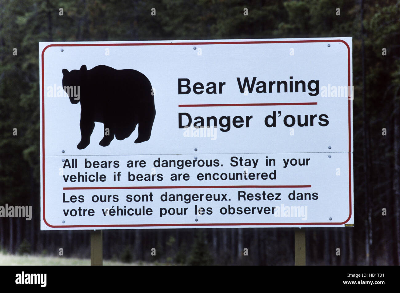 Schwarzbaeren hi-res stock photography and images - Alamy