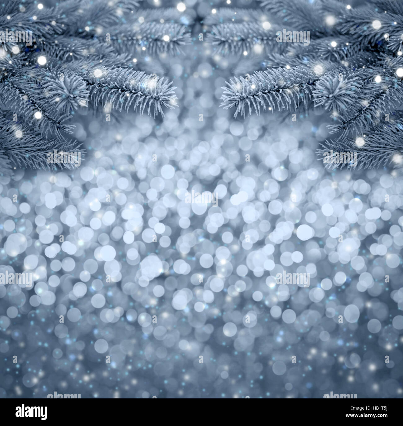 Silver branches hi-res stock photography and images - Alamy