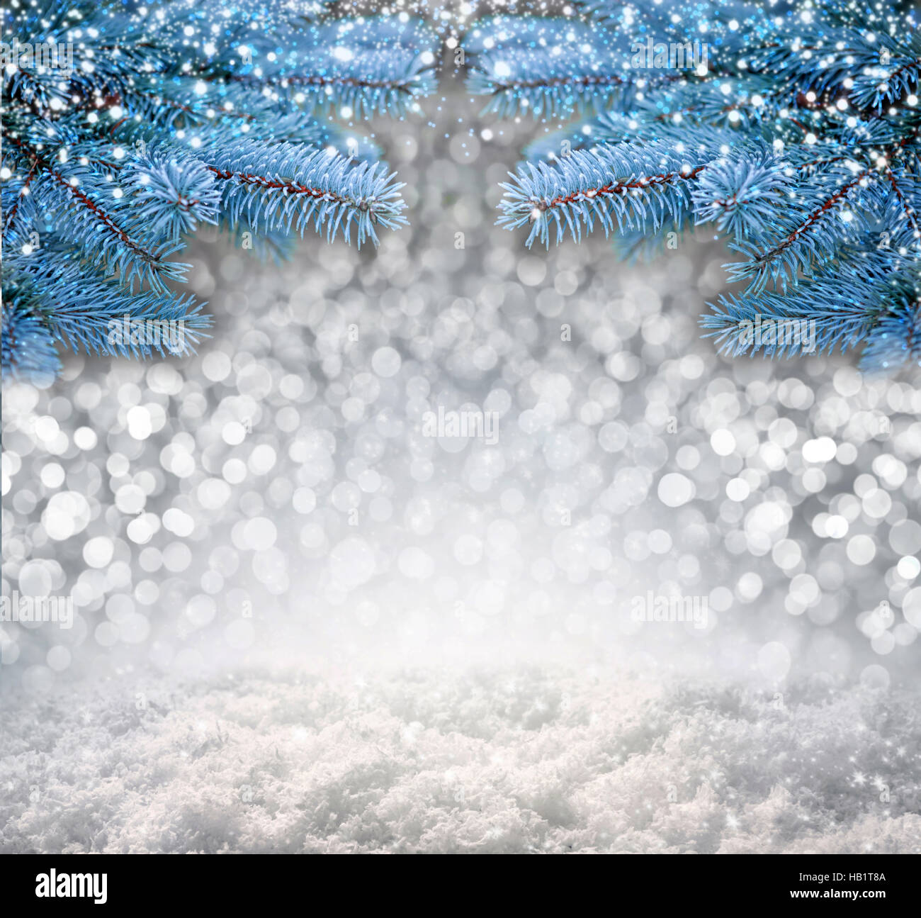 Silver branches hi-res stock photography and images - Alamy