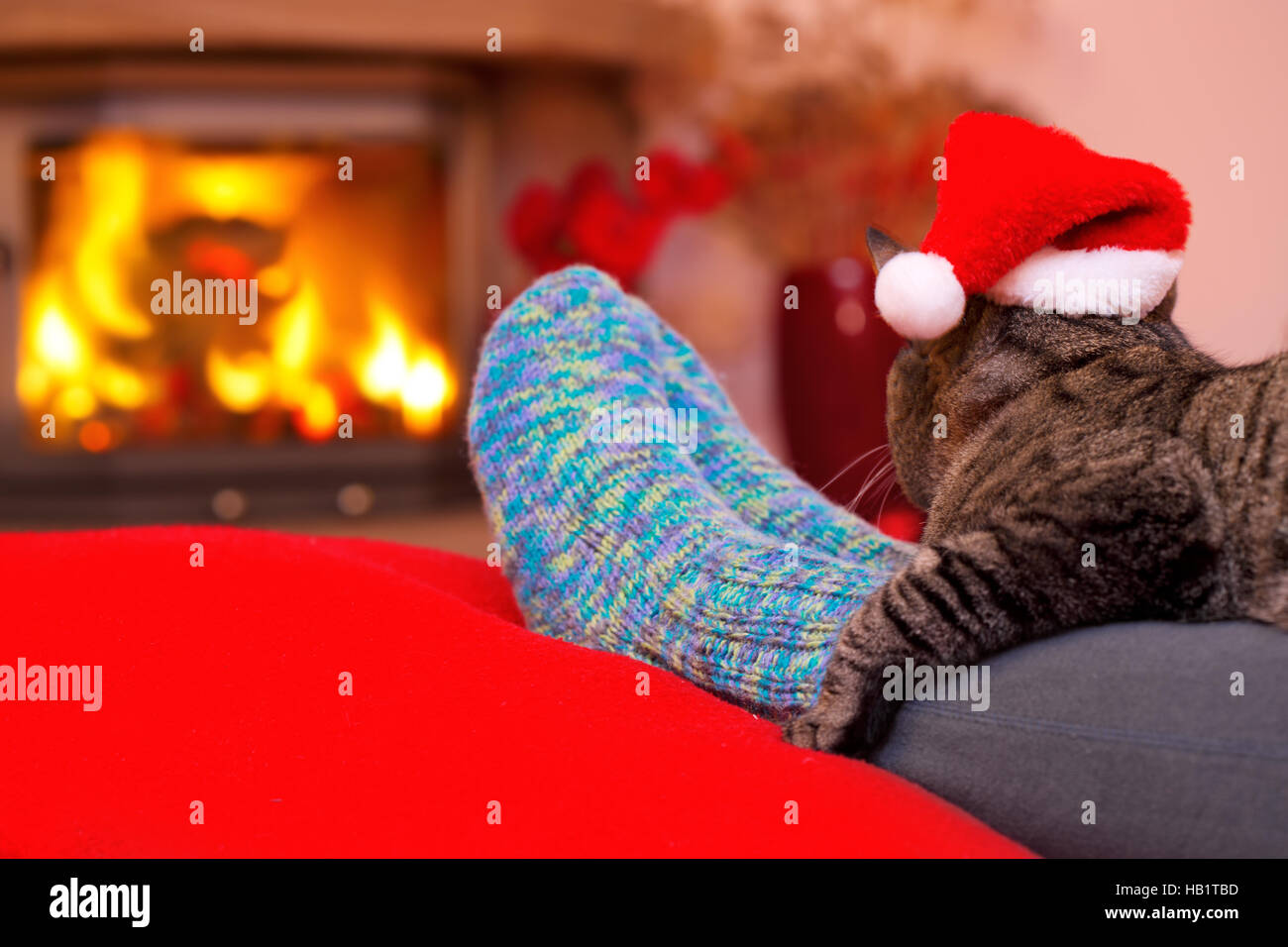 Fireplace christmas cat hi-res stock photography and images - Alamy