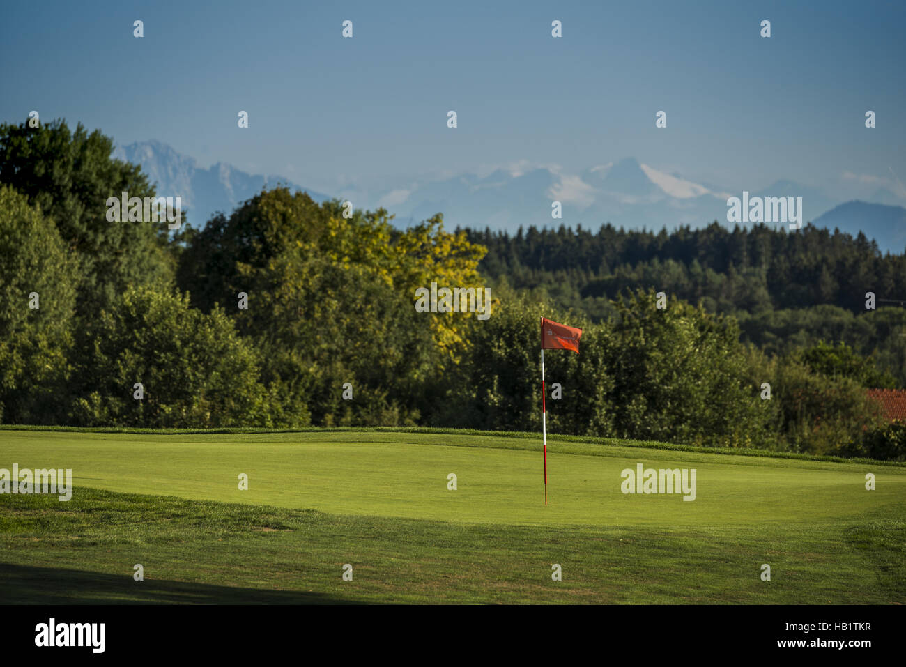 Golf court with alps Stock Photo - Alamy
