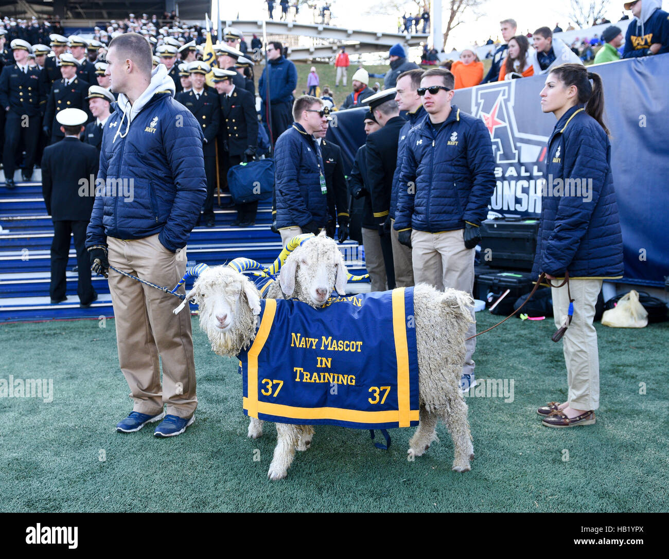 Annapolis, Maryland, USA. 3rd Dec, 2016. Navy's mascot's in training ...