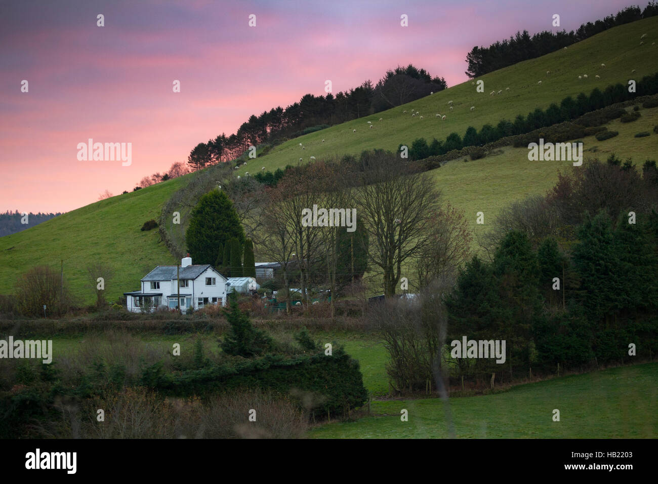 A rural welsh small holding in the foot hills of the Clwydian Range in ...