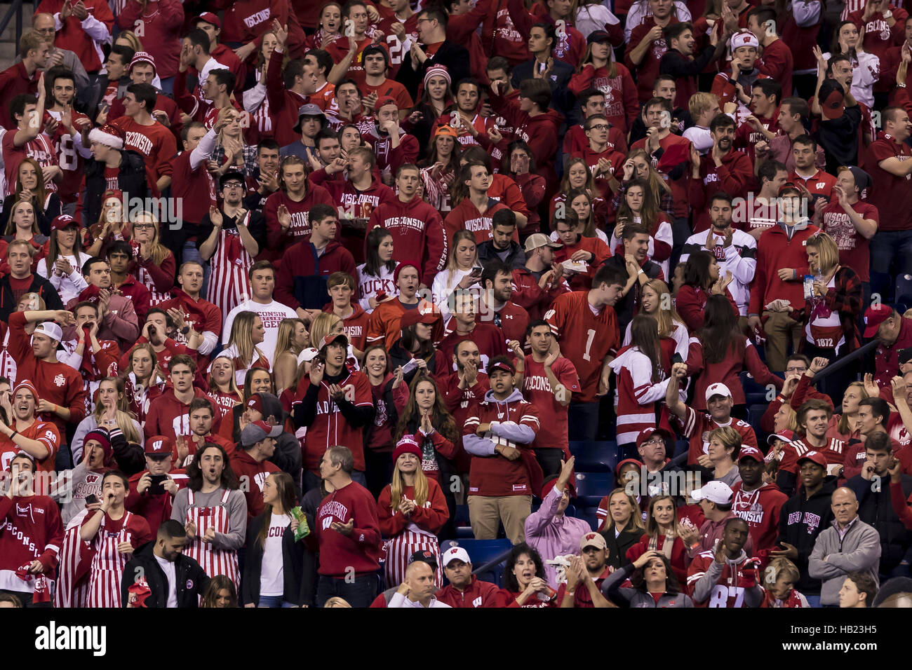 Wisconsin badgers fans hi-res stock photography and images - Alamy