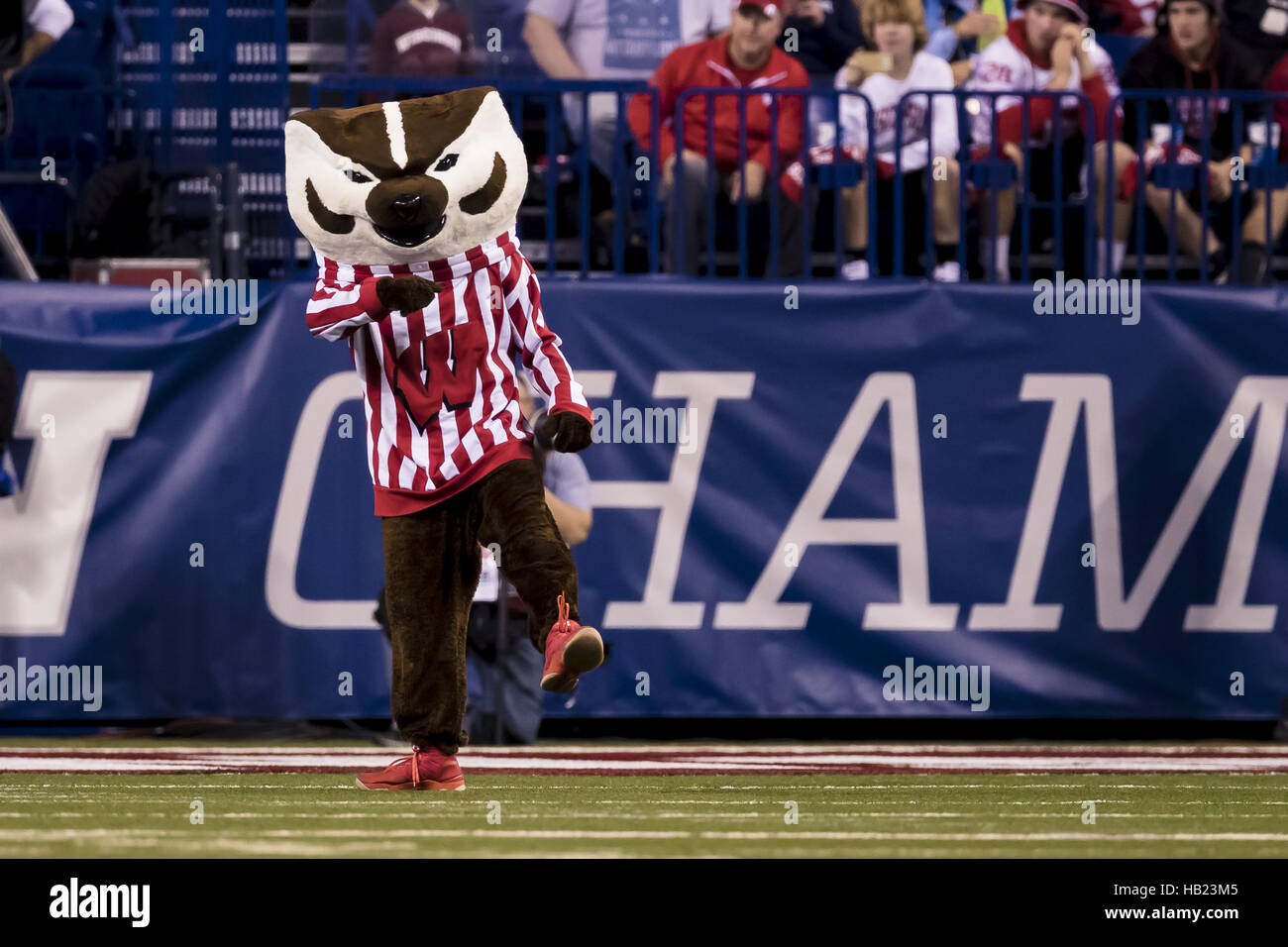 Bucky badger hi-res stock photography and images - Alamy