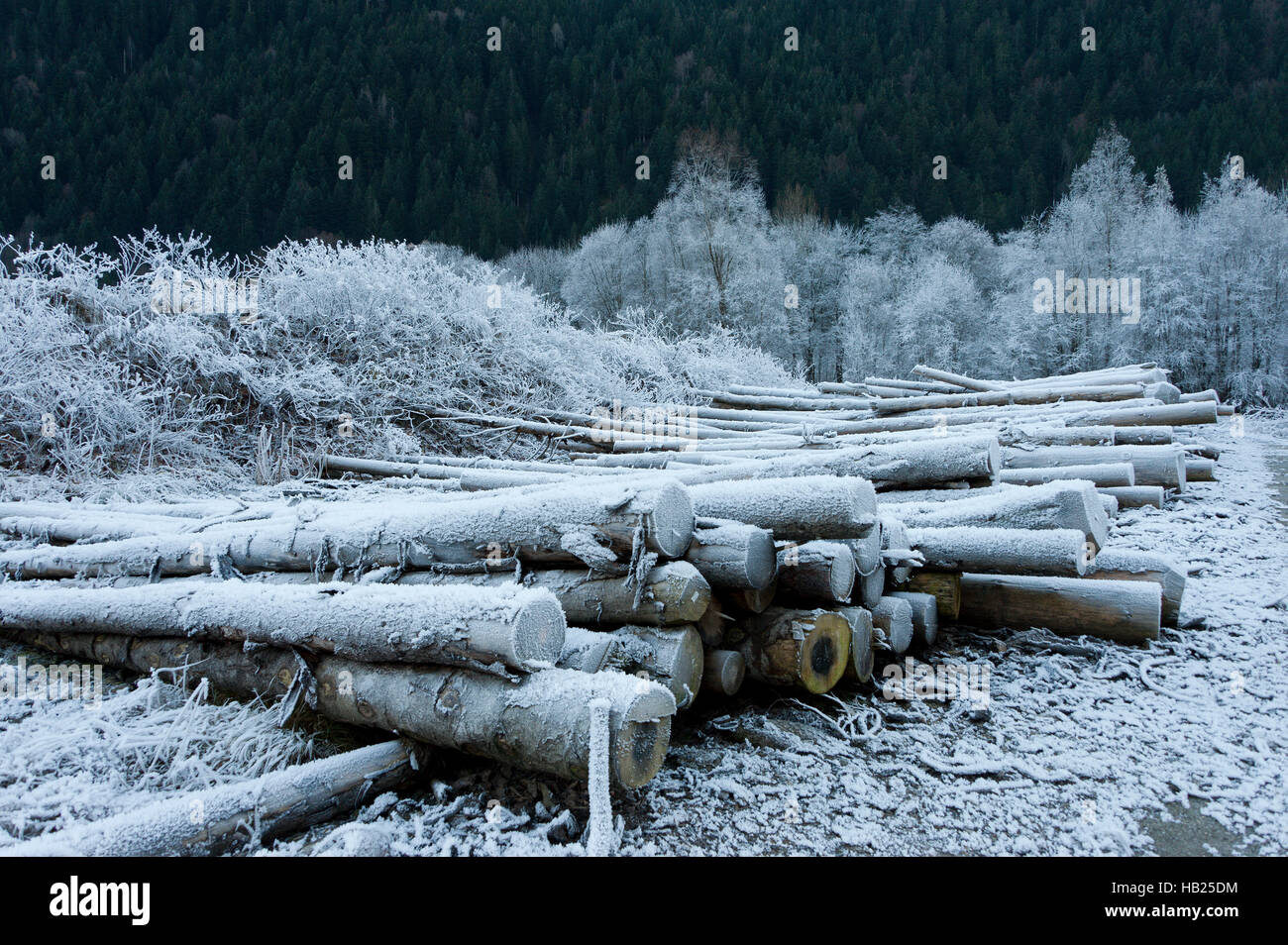 Beaufort, France. 4th December, 2016. A temperature inversion forms ...