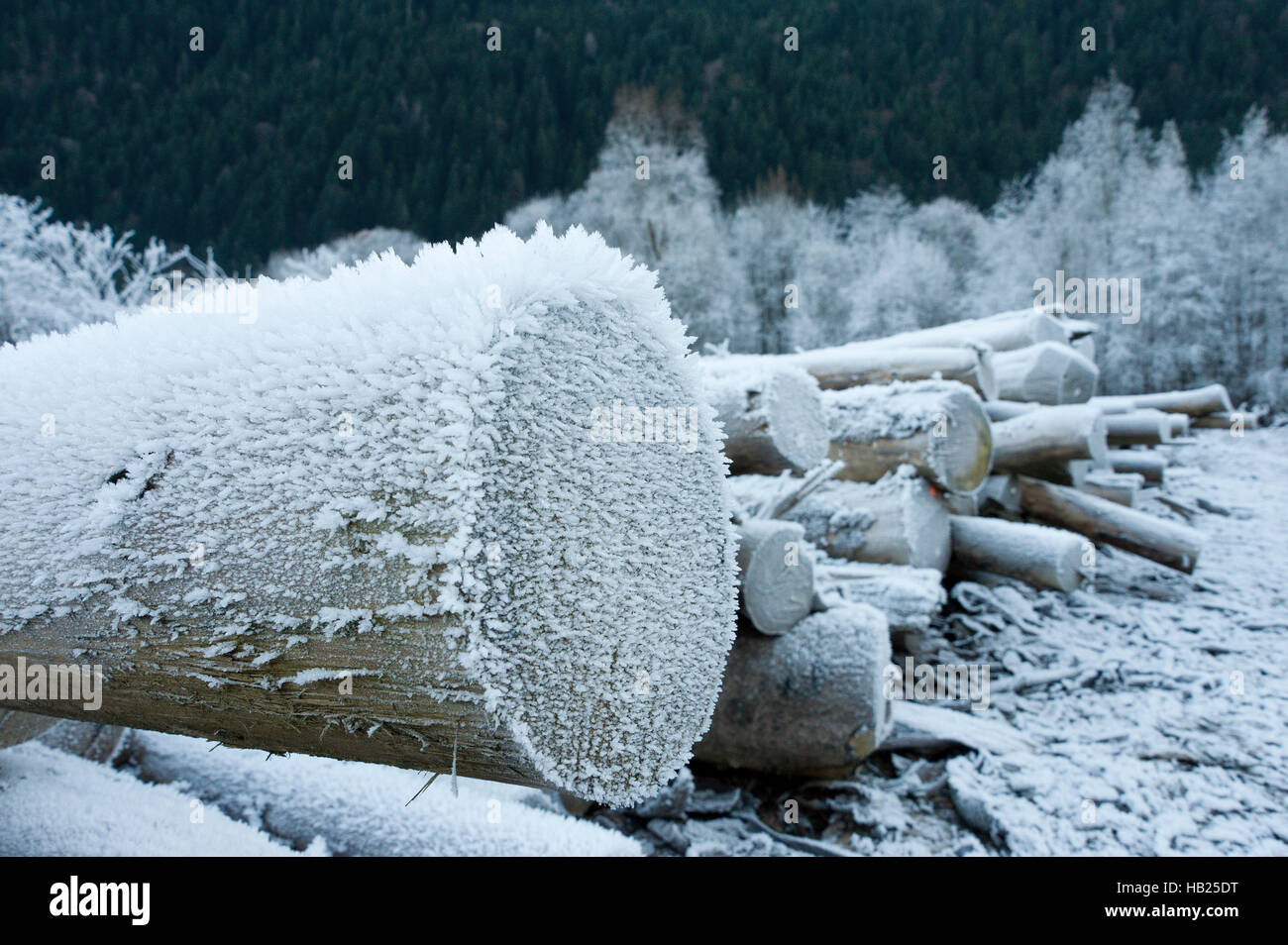 Beaufort, France. 4th December, 2016. A temperature inversion forms ...