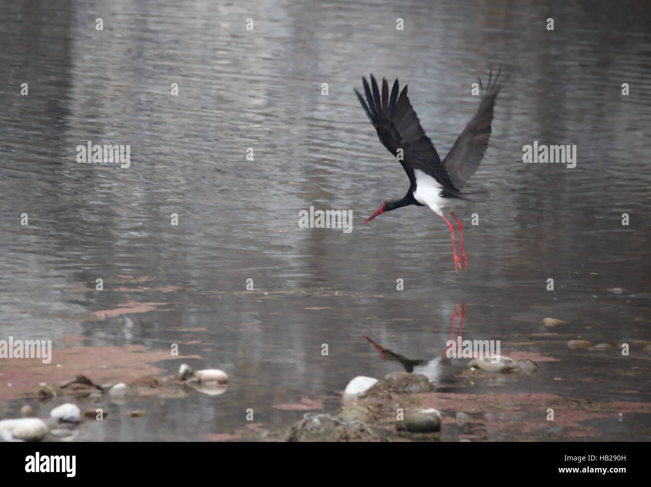 The 4 a level scenic area hi-res stock photography and images - Alamy