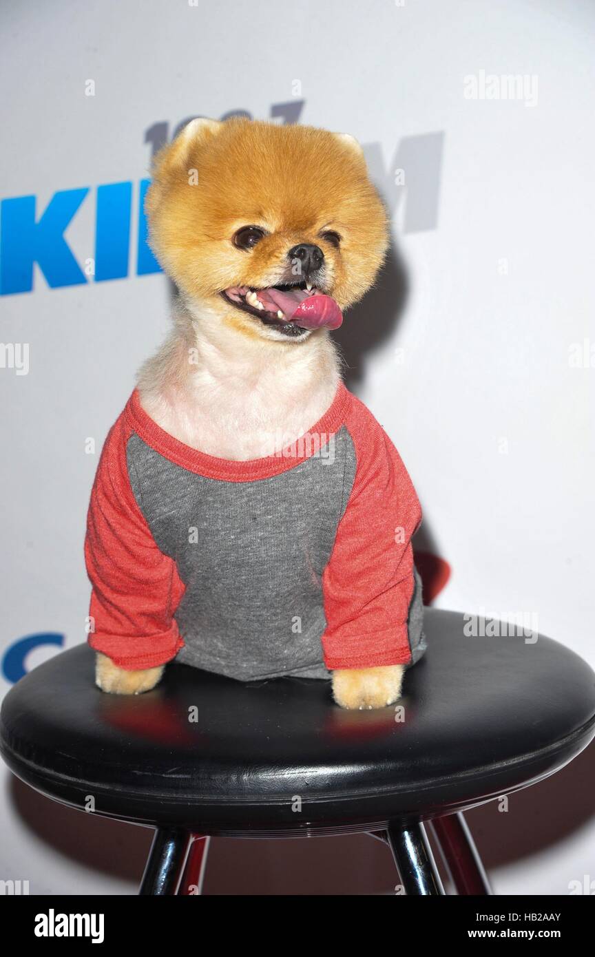 Los Angeles, California, USA. 2nd Dec, 2016. Jiff The Dog at arrivals ...