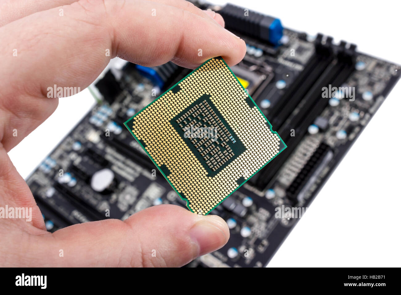 Computer processor in hand before installation Stock Photo - Alamy