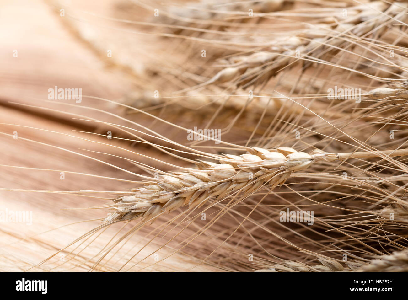 Wood husk hi-res stock photography and images - Alamy