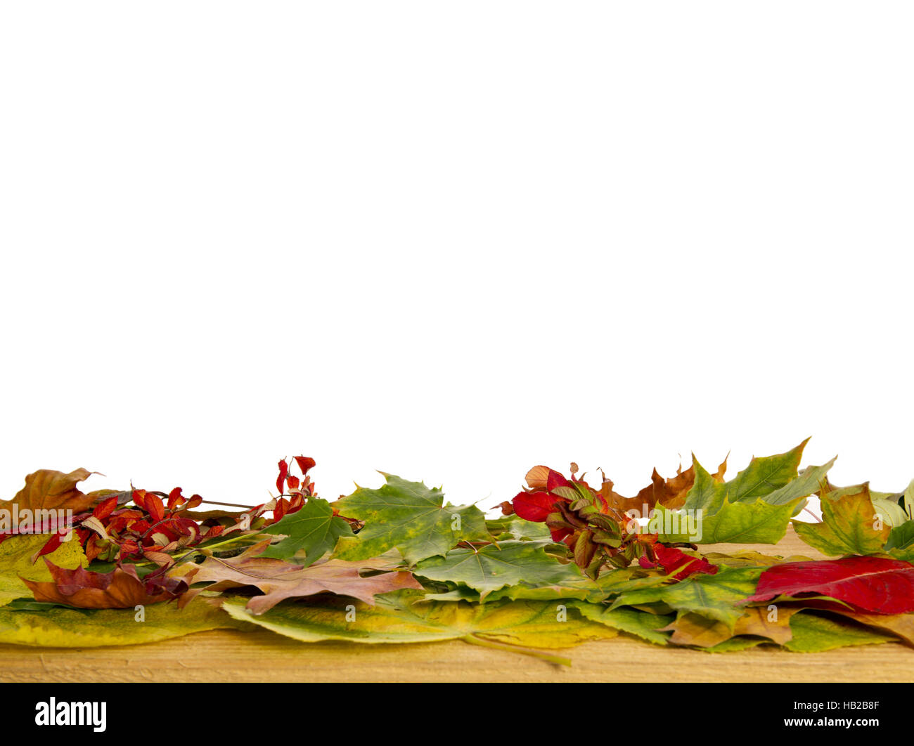 Colorful leaves tree background hi-res stock photography and images - Alamy