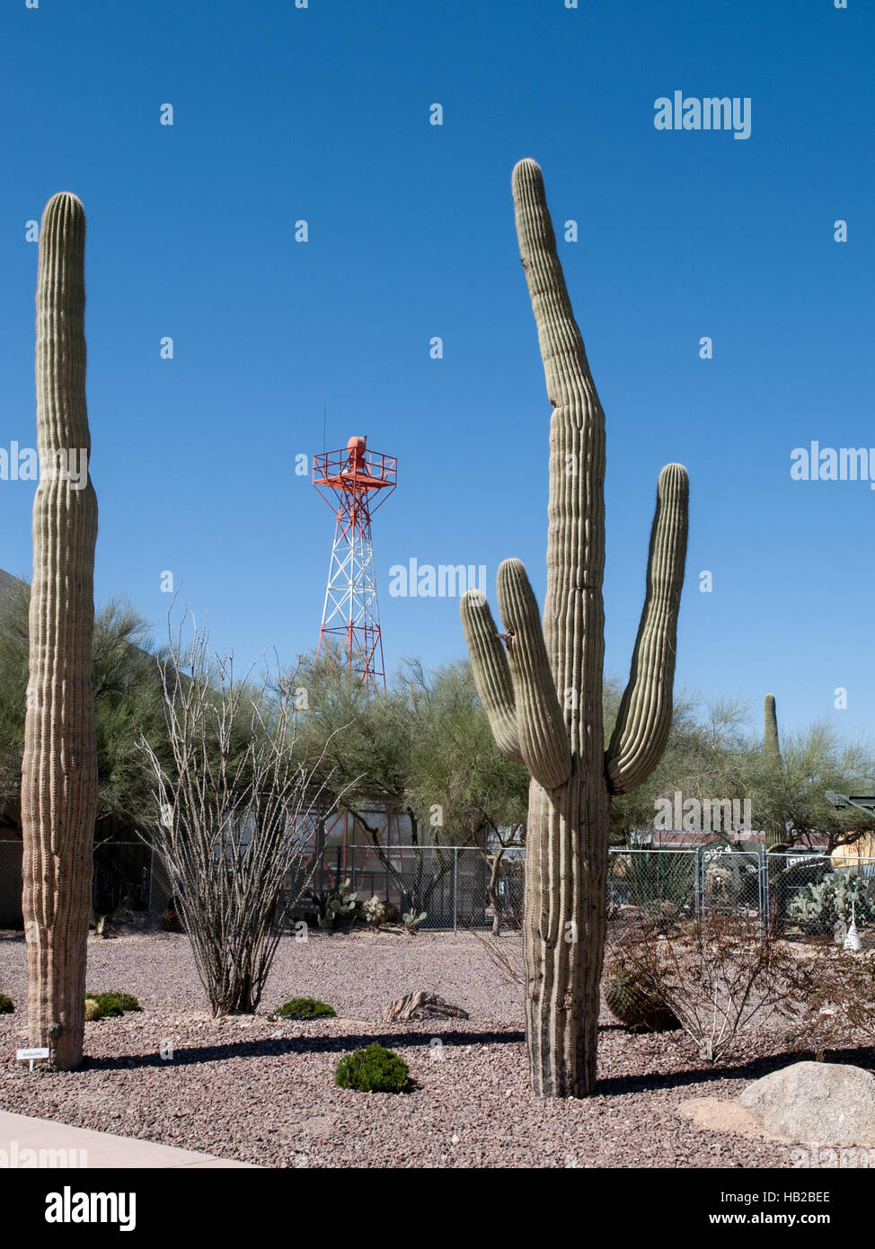 Arizona airport tower hi-res stock photography and images - Alamy
