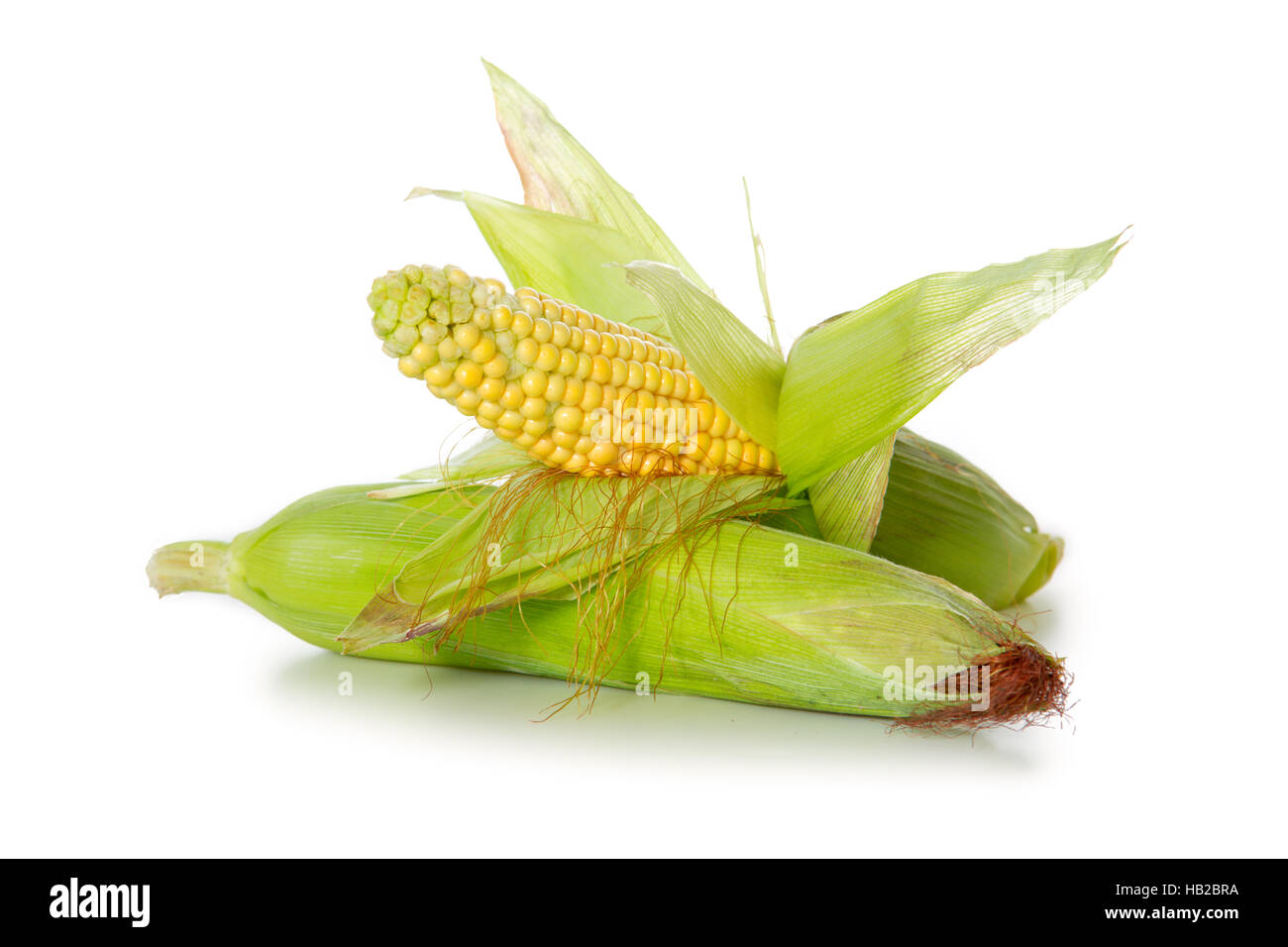 Two fresh corn, isolated on white Stock Photo - Alamy
