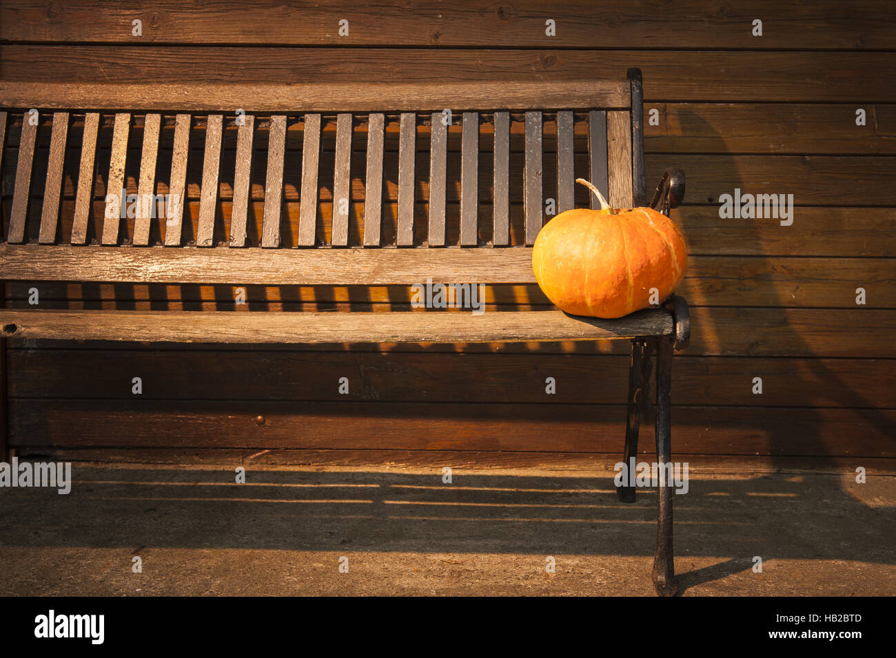 Pumpkin on the Garden Bench Stock Photo - Alamy