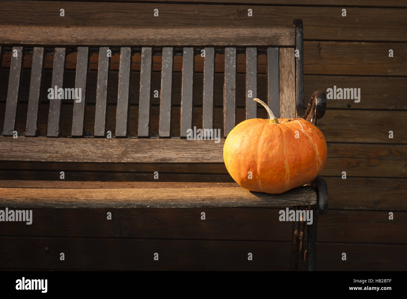 Pumpkin on the Garden Bench near Stock Photo - Alamy