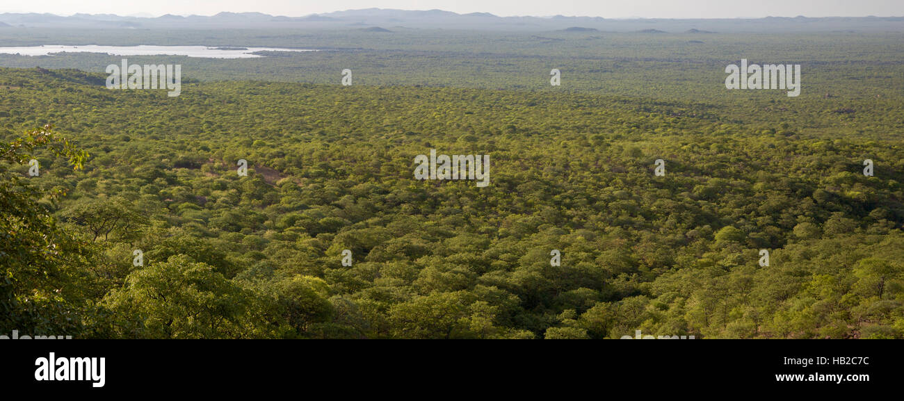 Angola national park hi-res stock photography and images - Alamy