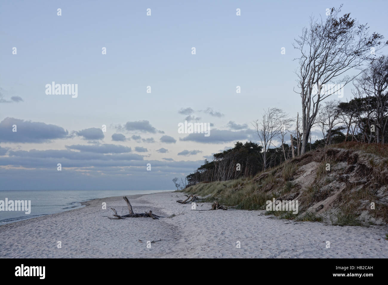 western beach Darss III Stock Photo - Alamy