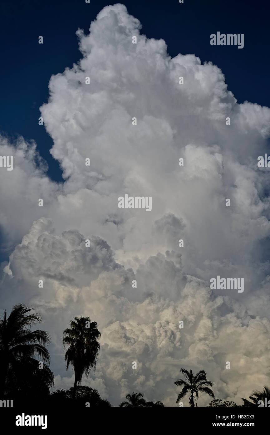 Clouds in the rainy season, Corozal District, Belize Stock Photo - Alamy
