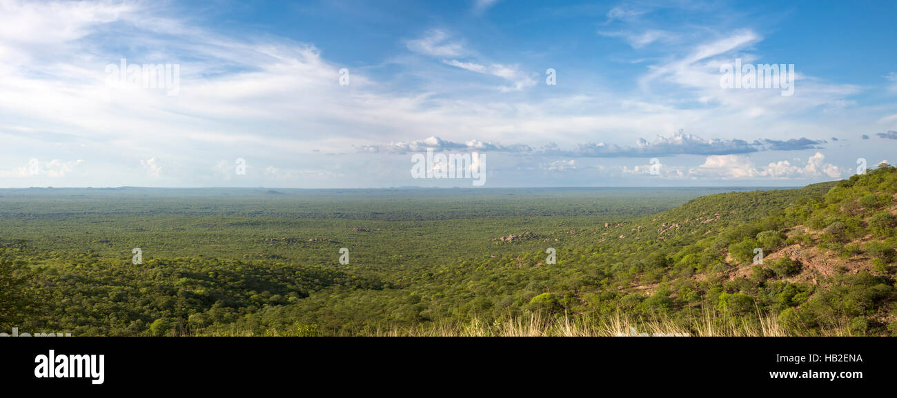 Panorama of Kunene landscape with forest, borderline between Angola and ...