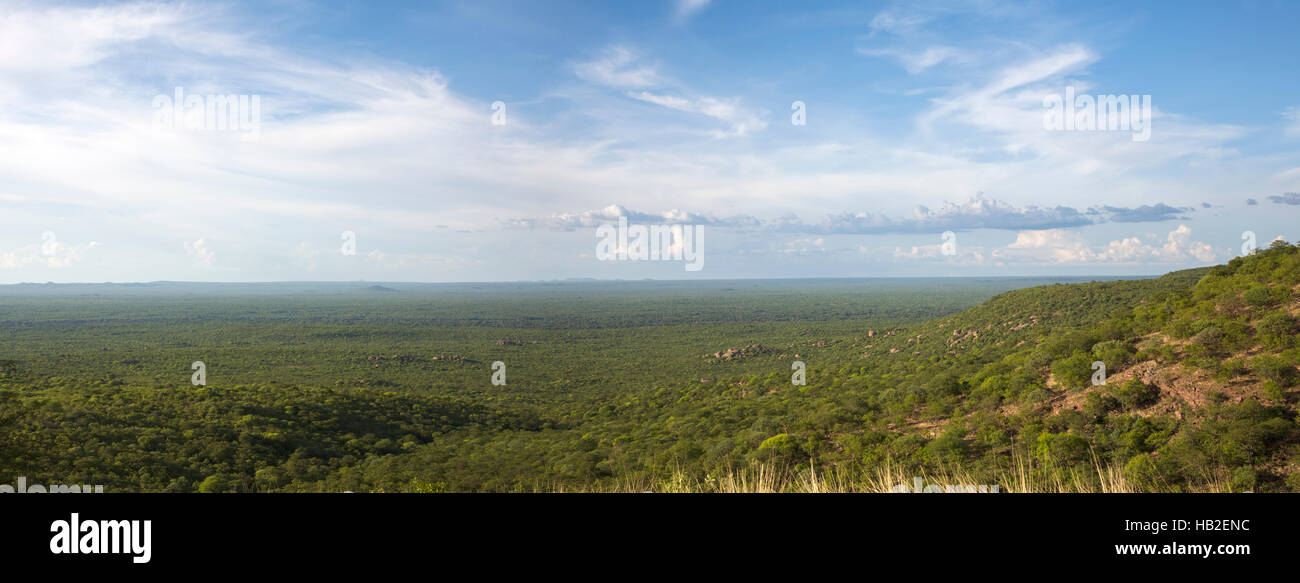 Panorama of Kunene landscape with forest, borderline between Angola and ...