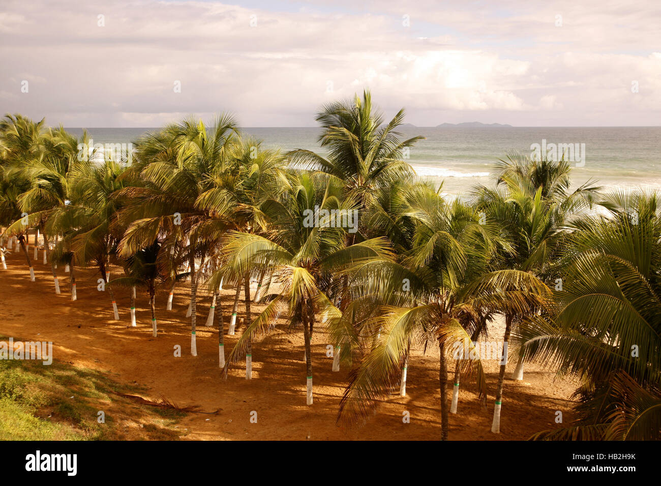 Guacuco hi-res stock photography and images - Alamy