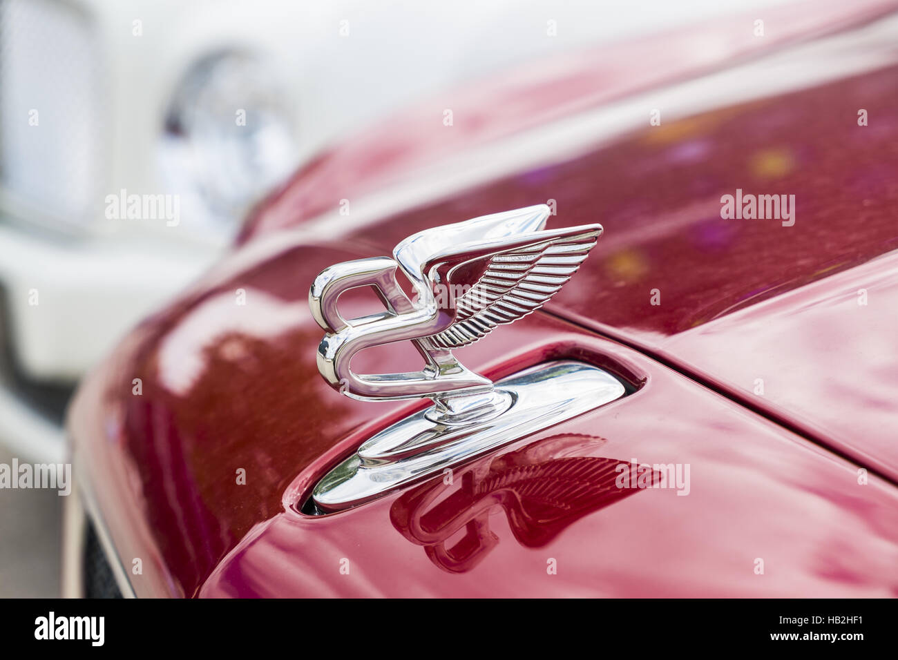 Winged bonnet hi-res stock photography and images - Alamy