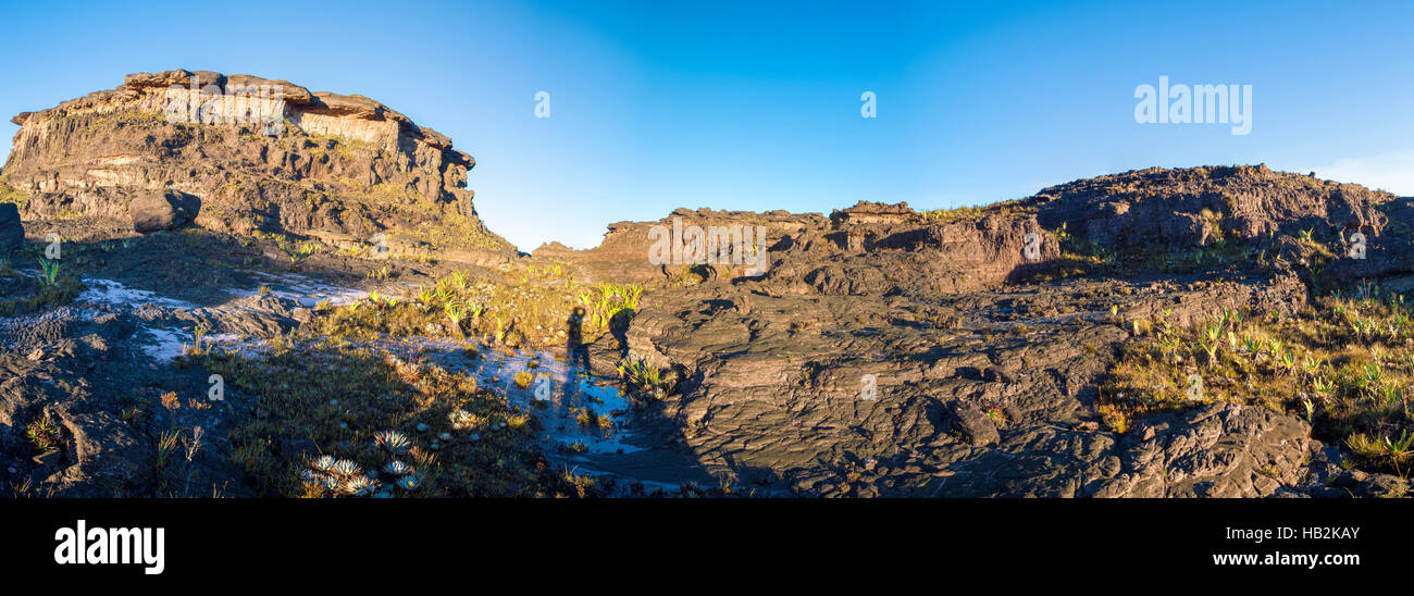 Mount roraima national park hi-res stock photography and images - Alamy