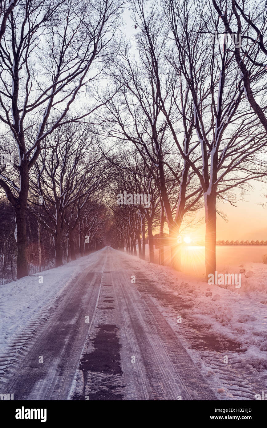 winter landscape with color look Stock Photo - Alamy