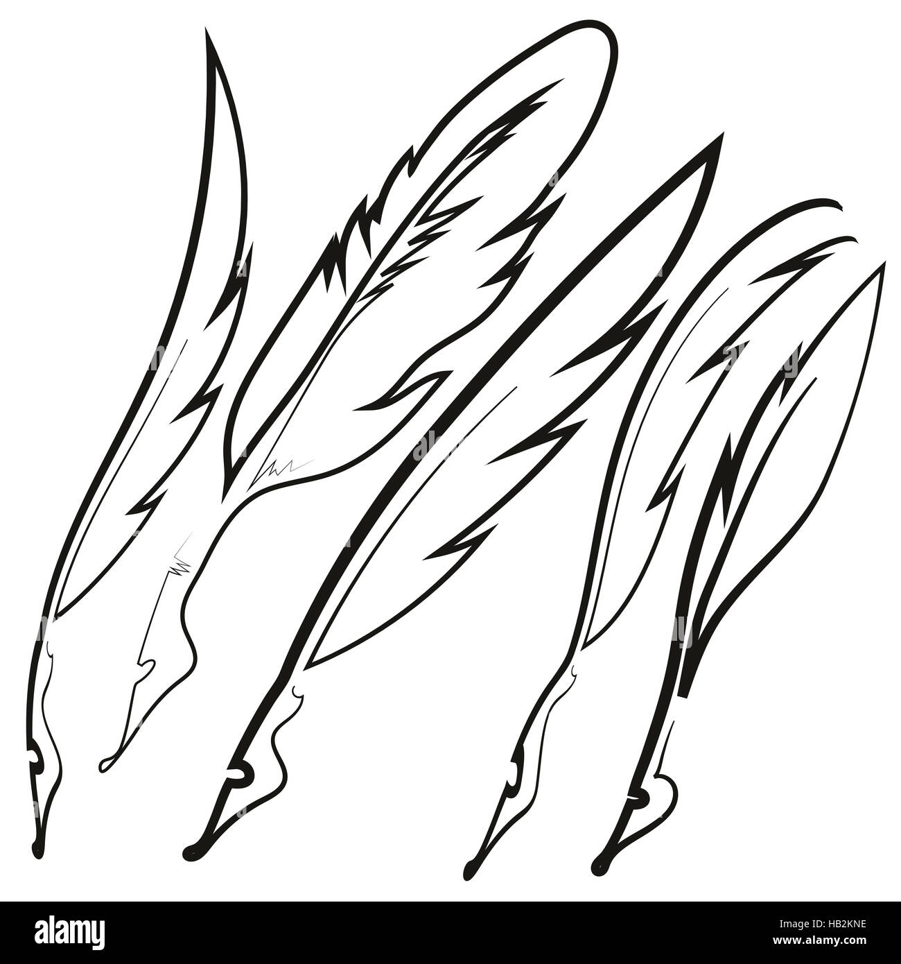 Thin feathers Cut Out Stock Images & Pictures - Alamy