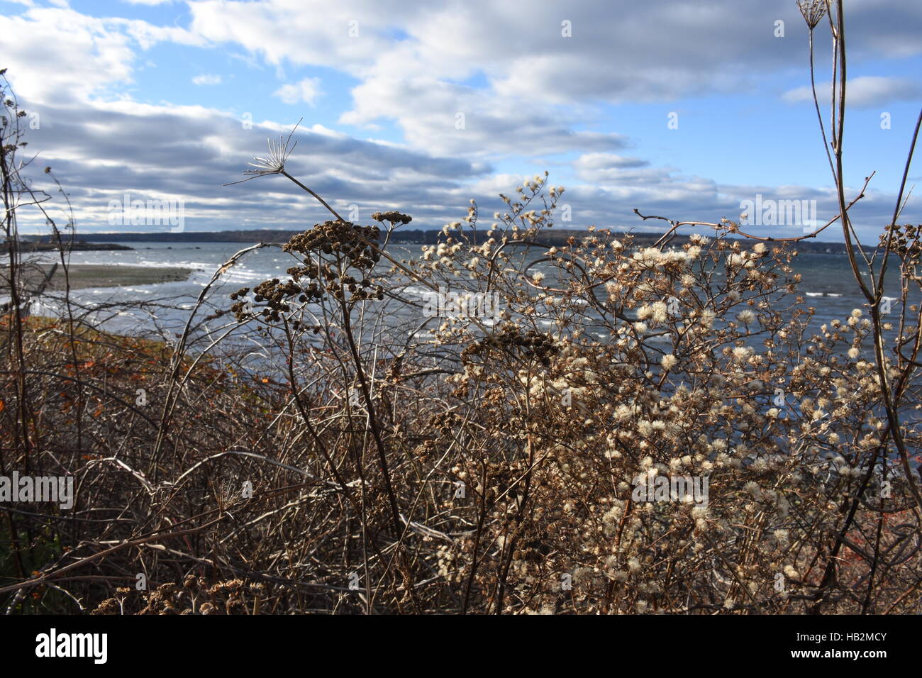 Autumn foliage with bay in background Stock Photo - Alamy