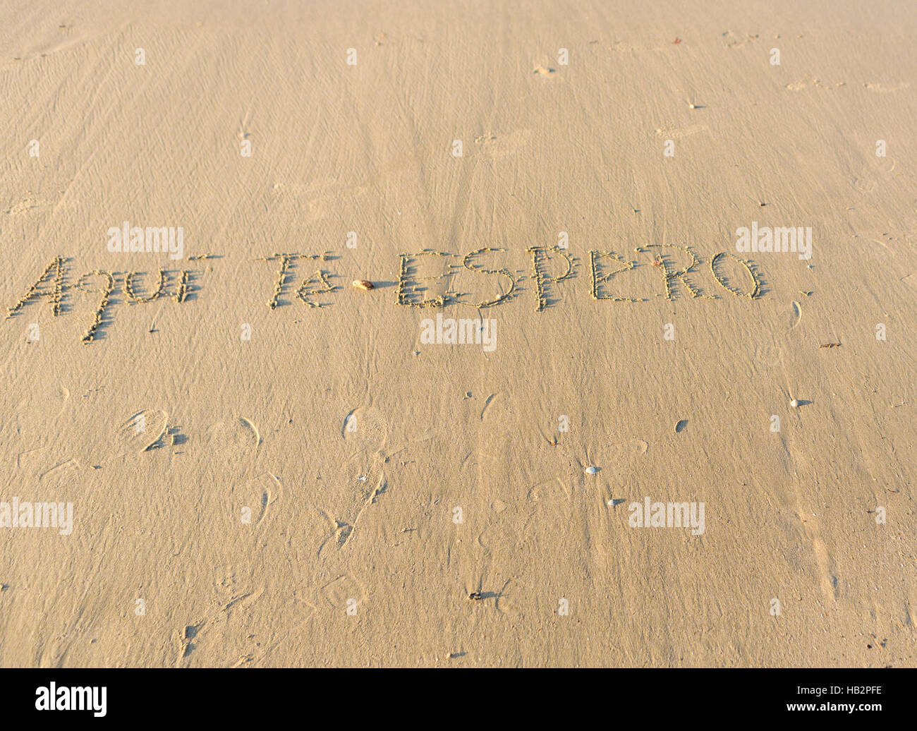 Dou You I Will Wait For Us