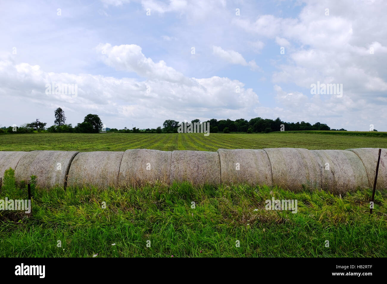 Hayfield cut hi-res stock photography and images - Alamy